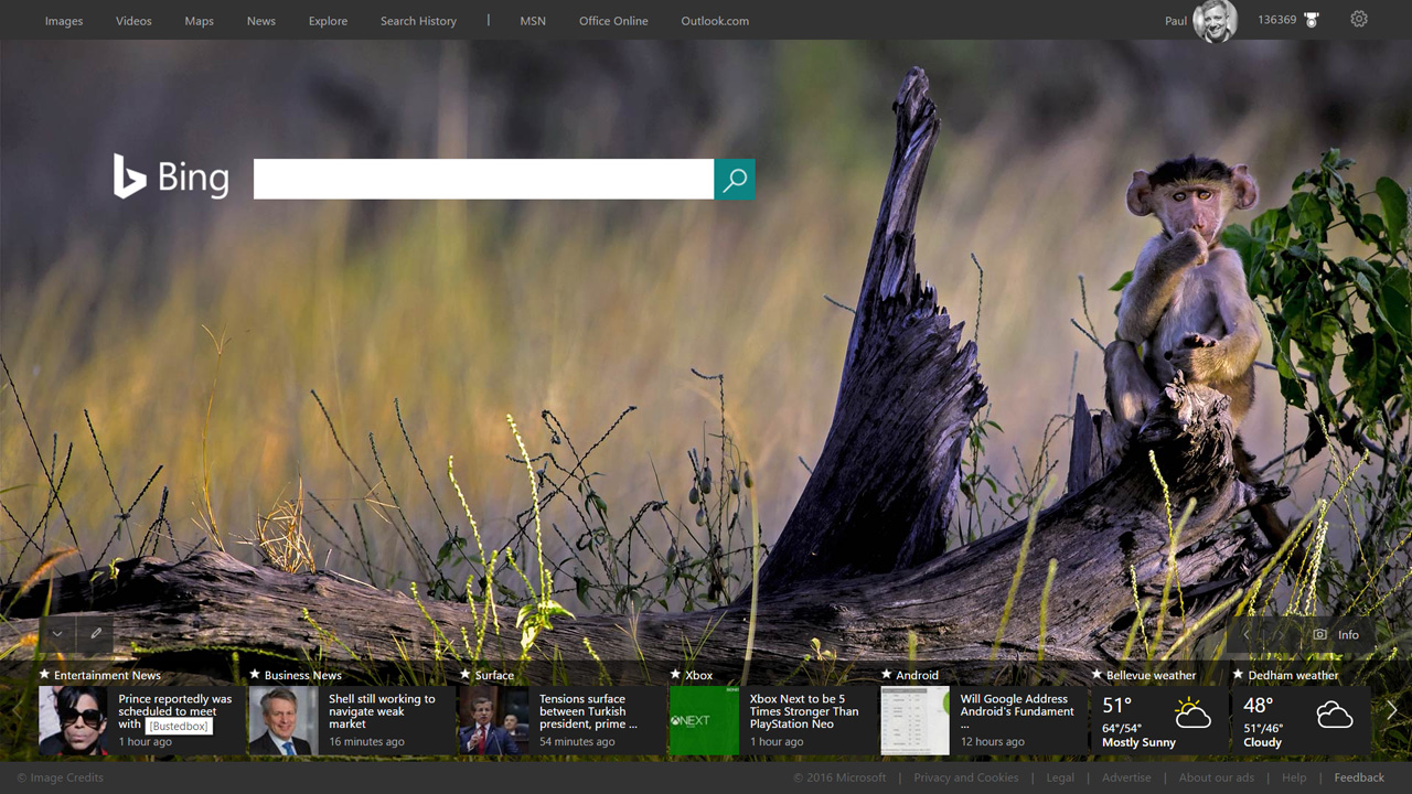 Microsoft Quietly Launches Bing Insider Program - Thurrott.com