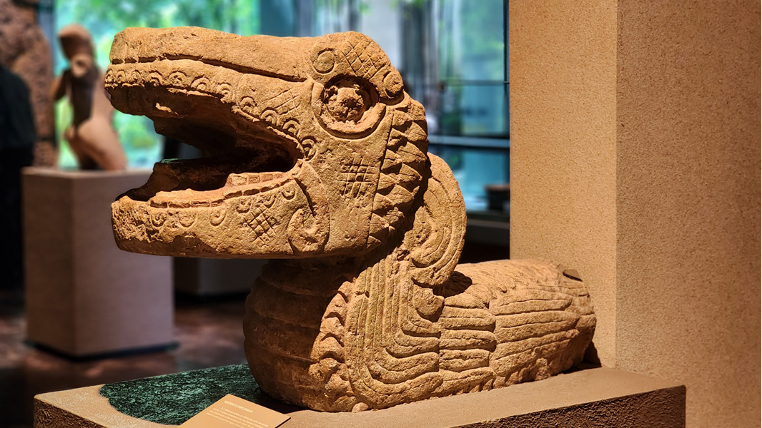 cdmx-museum - Thurrott.com