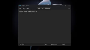 Windows 11 Tip: Enable Text Suggestions - Thurrott.com