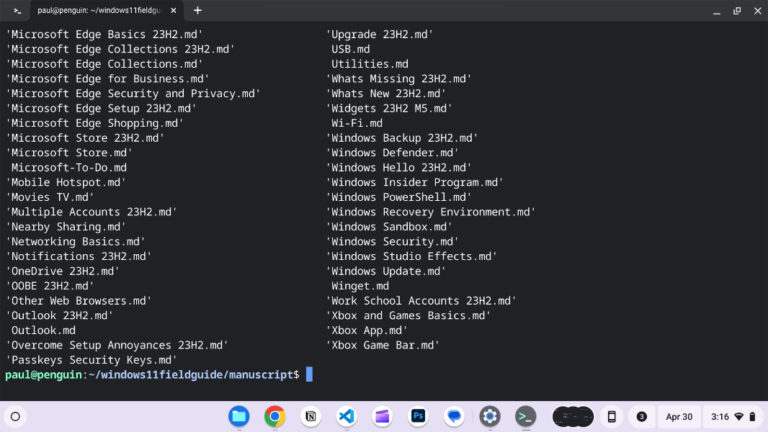 ChromeOS Flex: The Flexibility and Complexity of Linux Apps - Thurrott.com