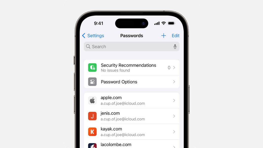 Apple Passwords App