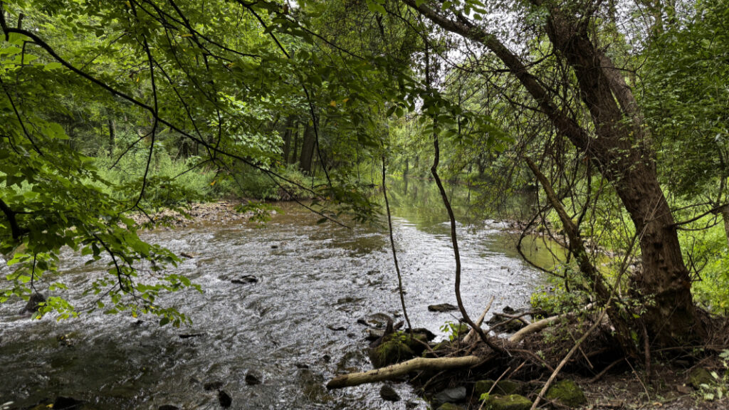 Premium Archives - Thurrott.com