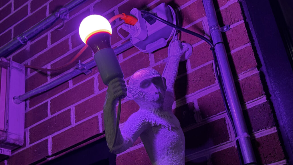 Premium Archives - Thurrott.com