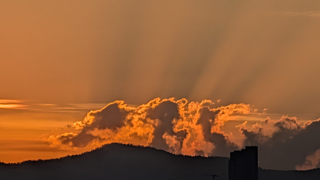 Premium Archives - Thurrott.com