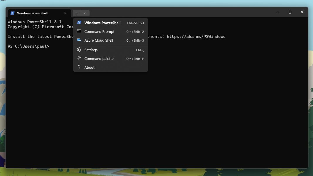Command Line Interfaces - Thurrott.com